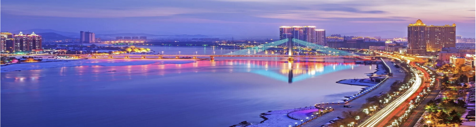 2025 IEEE 3rd International Conference on Control, Electronics and ...